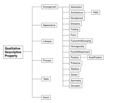 Ppt Qualitative Descriptive Property Powerpoint Presentation Free