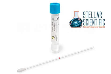 Why Copan Swabs And Kits From Stellar Scientific Are Transforming