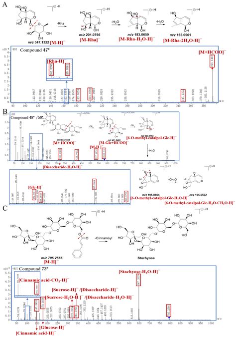 The Comprehensive Profiling Of The Chemical Components In The Raw And Processed Roots Of