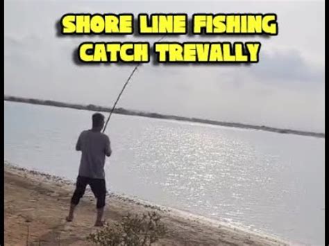 CATCH TREVALLY @ SHORE LINE HD - YouTube