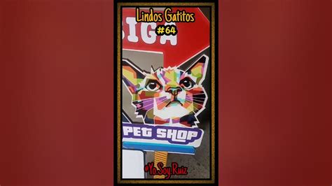 Me Parecio Ver Un Lindo Gatito 64 Youtube