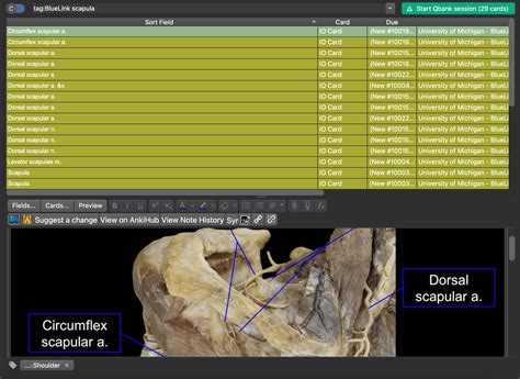 University Of Michigan Anatomy Tables