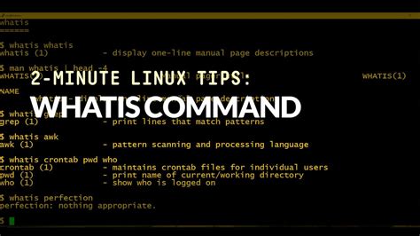 How To Use The Whatis Command Youtube