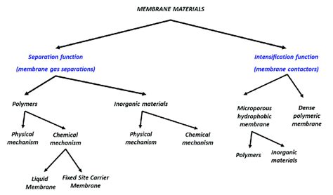 Synopsis Of The Different Types Of Membrane Materials For Carbon Download Scientific Diagram