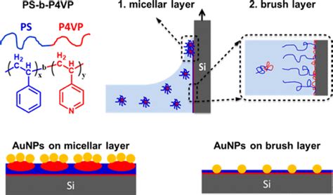 Monolayer Arrays Of Nanoparticles On Block Copolymer Brush Films Langmuir