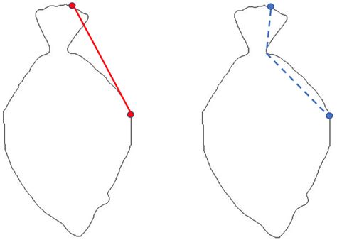 Two Objects The Left Straight Line Shows The Euclidean Distance From A Download Scientific