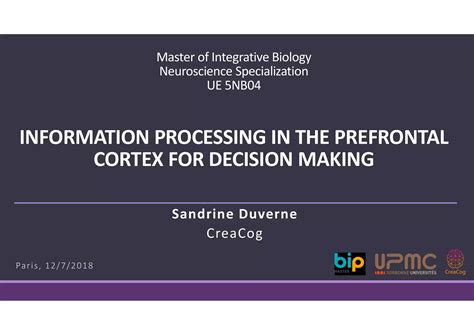Prefrontal Cortex And Decision Making The Modular And Circuit Based Approach Ppt