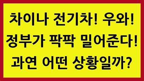 차이나 전기차 Solactive 주가 전망 타이거 Tiger Etf 레버리지 중국 2차전지 배터리 주식 장기 투자 장투 단타 구성 종목 정부가 팍팍 밀어준다 굿