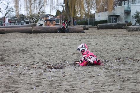 Sunshine And Stanley Park Mama Papa Bubba
