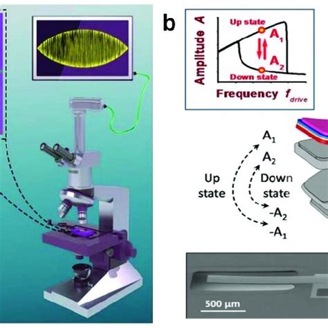 Acoustic And Magnetoelectric Coupling Resonant Excitation And Test Download Scientific Diagram