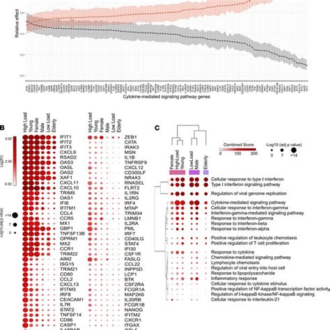 Signature Of Cytokine Mediated Signaling Pathway According To Sex Age