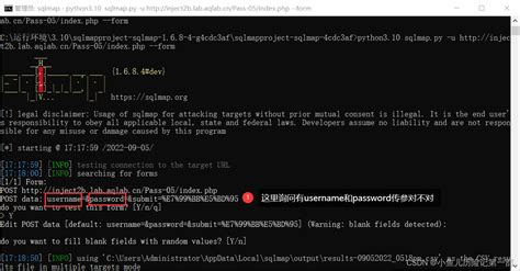 post注入和head注入 php post 命令注入 csdn博客