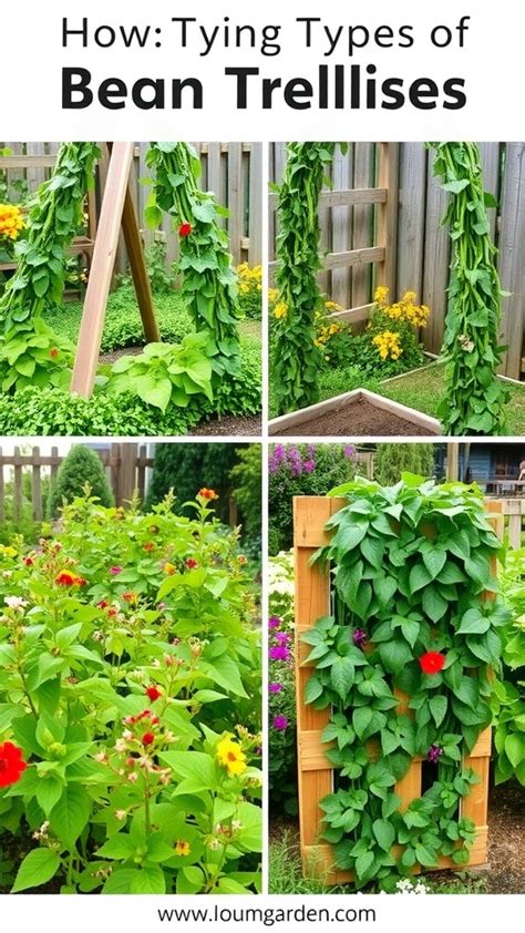 Creative Bean Trellis Ideas For Your Garden