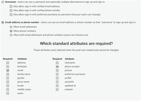 Javascript Sign Up To Amazon Web Service Cognito Error