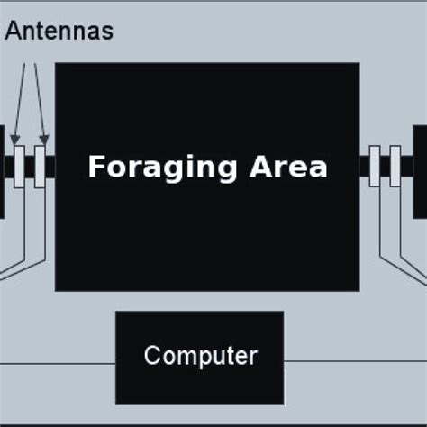 The RFID Experimental Device Download Scientific Diagram