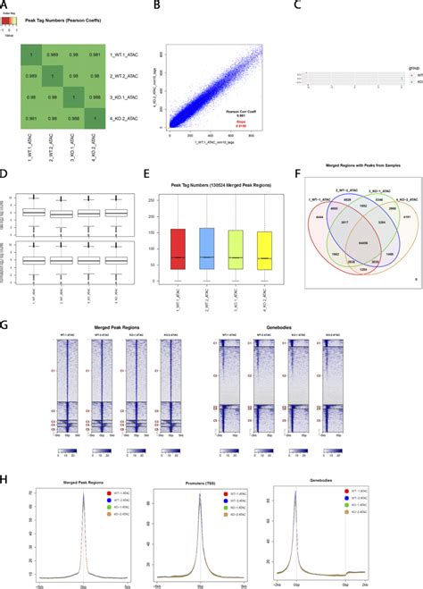 ATAC Seq Supplemental QC Data A And B Pearson Correlation Of Peak