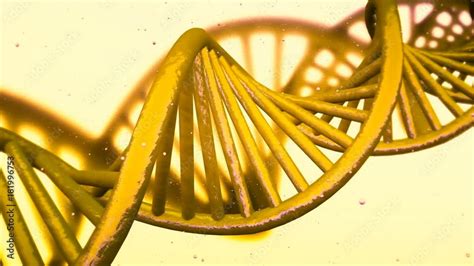 Rotating Model Of DNA Strands Loopable Background Stock Video Adobe Stock