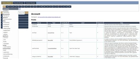 netsuite database schema browser understanding the basics