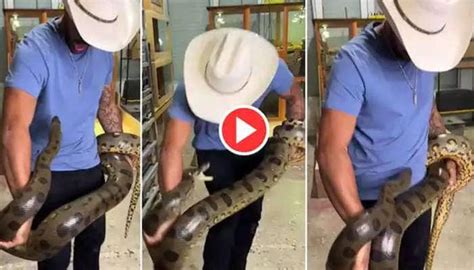 Anaconda Attack Video News In Tamil Latest Anaconda Attack Video News