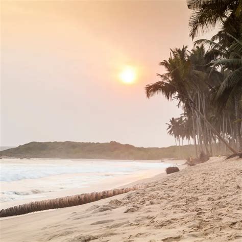 Jesse Markin Ei Nukkunut Ennen Umk Julkistusta Hyvä Syy Anna