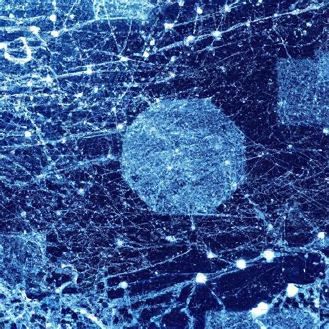 Enhancing Iot Security Ais Role In Cyber Threat Protection Koolerai