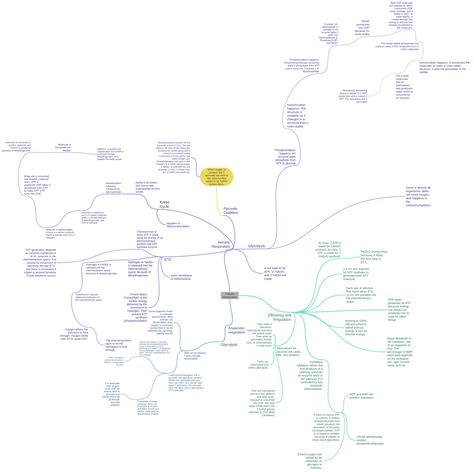 Cellular Respiration Coggle Diagram