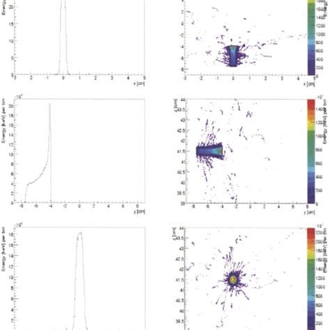 Spatial Distribution Of The Energy Deposit In The Phantom For 100 Mev