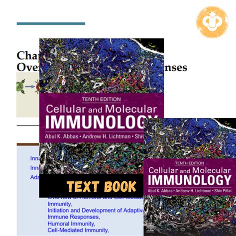 Latest Textbook Cellular And Molecular Immunology 10th Editi Inspire Uplift