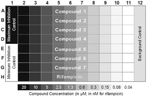 Final Assay Plate Layout The Plate Format Is Shown Column 1 Contains Download Scientific