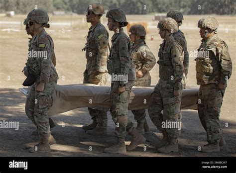 Army Reserve Soldiers From The 319th Combat Sustainment Support