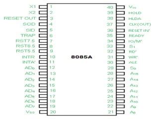 Presentation Of Pin Diagram PPT