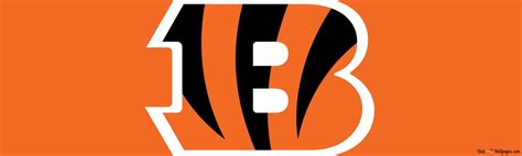 Cincinnati Bengals Logo 4k Wallpaper Download