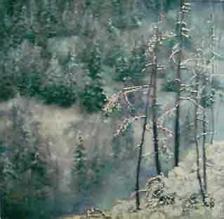 Тайга. 2000