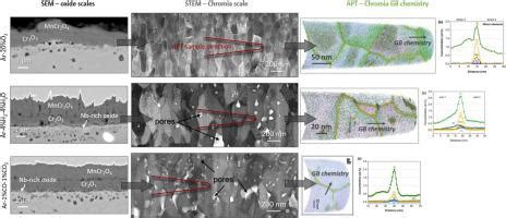 Effect Of Gas Composition On The Oxide Scale Growth Mechanisms In A Ferritic Steel For Solid