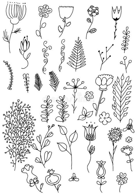 Doodle Hand Drawn Flowers Stock Vector Illustration Of Decoration