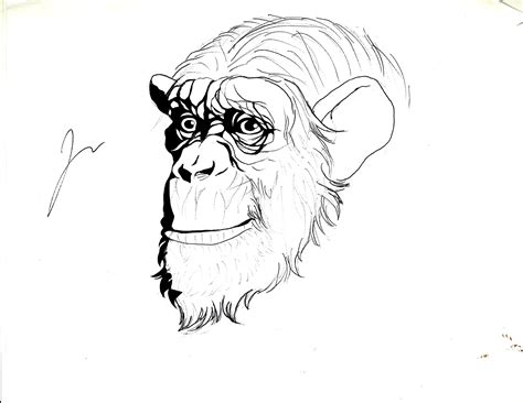 Code Monkey Character Design Behance