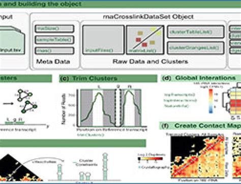 Quality Control Method For Rna Seq Using Single Nucleotide Polymorphism