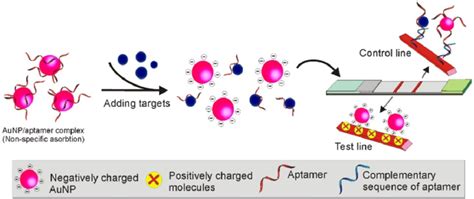 Schematic Illustration Of Adsorption Desorption Based Apt Lfa