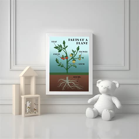 Printable Plant Structure Diagram Educational Plant Anatomy Digital