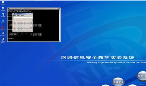 easy file sharing web server 6 9漏洞复现及生成主控端、被控端应用 easy file share 漏洞利用