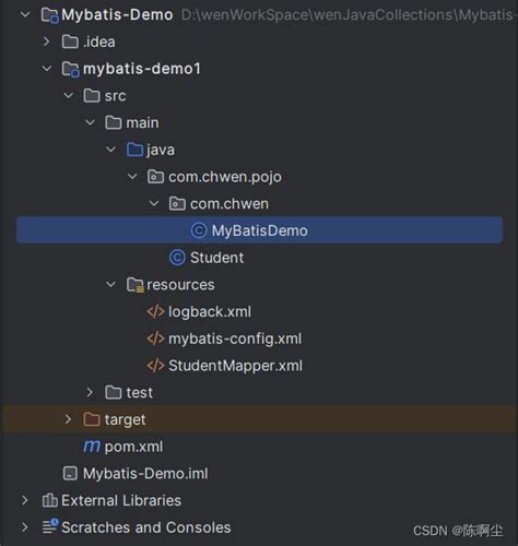 Javaweb（mybatis快速入门） Csdn博客