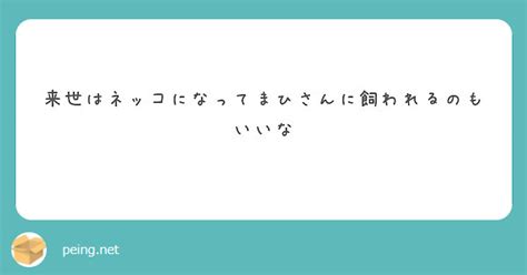 来世はネッコになってまひさんに飼われるのもいいな Peing 質問箱