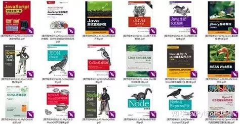 本最前沿的Python编程电子书免费下载限时一天 知乎