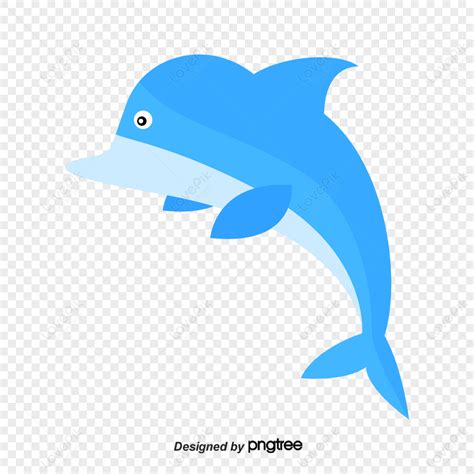 물고기 일러스트만화돌고래불가사리 Png 일러스트 무료 다운로드 Lovepik