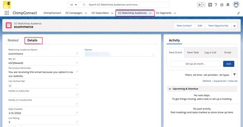 Salesforce Mailchimp