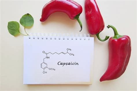 Je Kapsaicin Dober Za Vas Blog Shaanxi Natural Healthcare Group Co