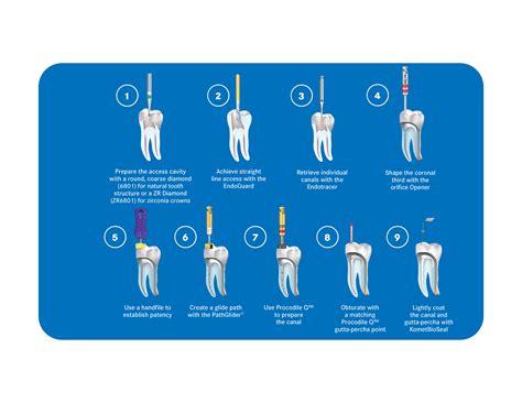 Introduction To Procedural Endodontic Techniques