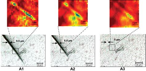 Self Repairing Polymers Tfot