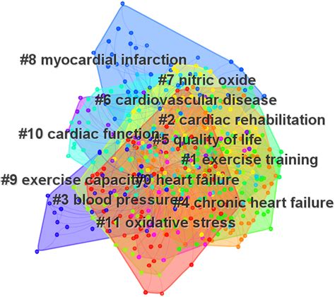 network map of keyword clusters in the field of exercise training for