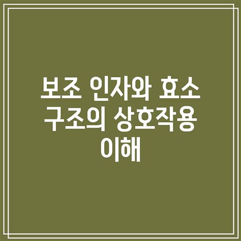 보조 인자와 효소 구조의 상호작용 이해